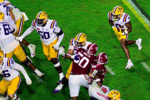 Grumpy Tigers try to get back on track against Gators | Shreveport ...