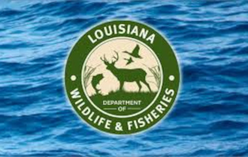 Agents cite five subjects for WMA violations in Caddo Parish ...