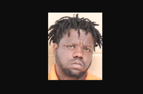 Domestic dispute leads to arrest of convicted felon with firearm ...