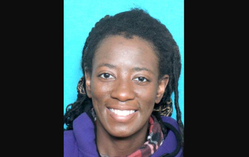 Detectives searching for information in theft investigation ...