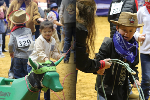 Bossier Schools students enjoy fun-filled rodeo experience | Shreveport ...